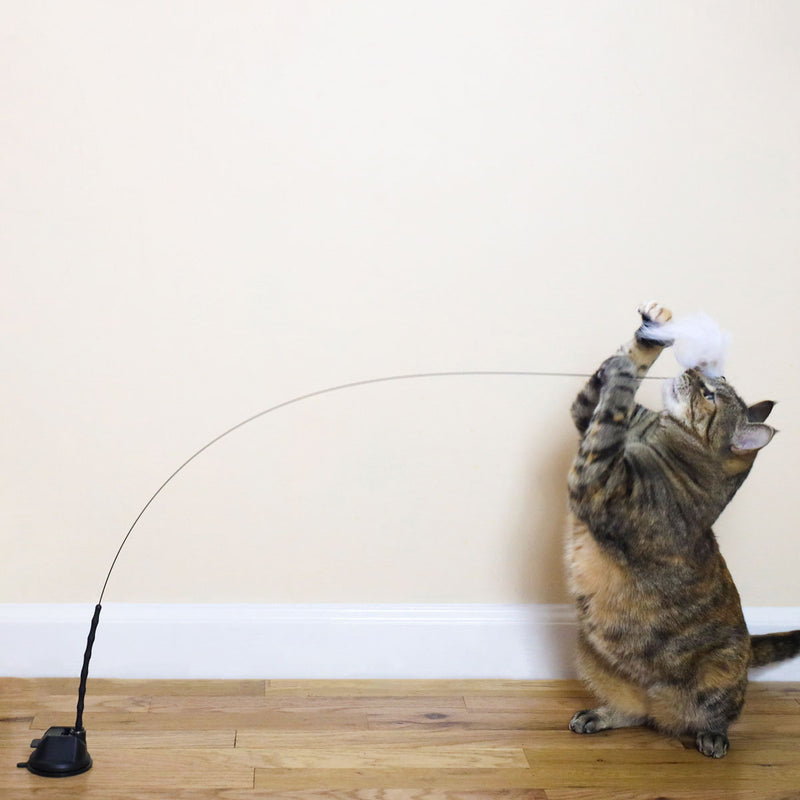 Interactive Bird Simulation Cat Toy Set – Whiskertons™