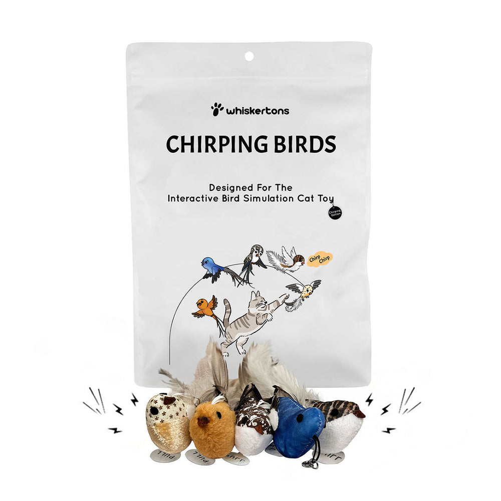 Interactive Bird Simulation Cat Toy Set