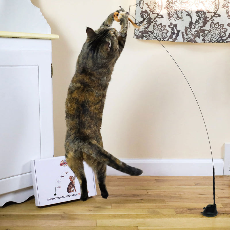 Interactive Bird Simulation Cat Toy Set – Whiskertons™