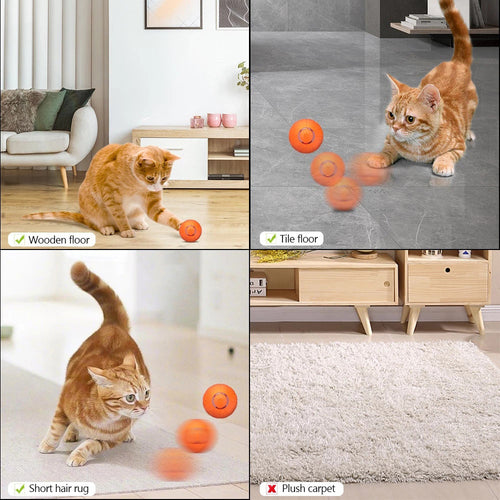 Interactive Bird Simulation Cat Toy Set
